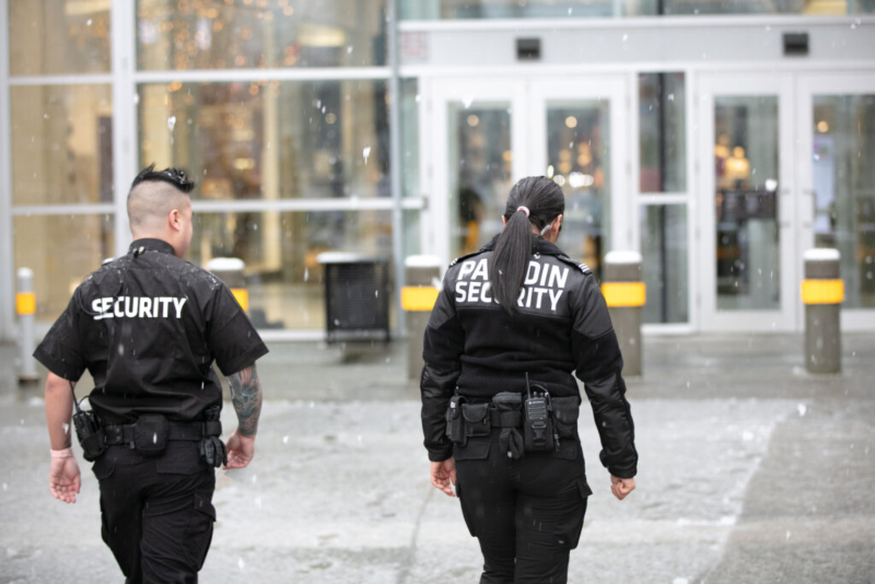 Why do you need Professional Security Services Edmonton?